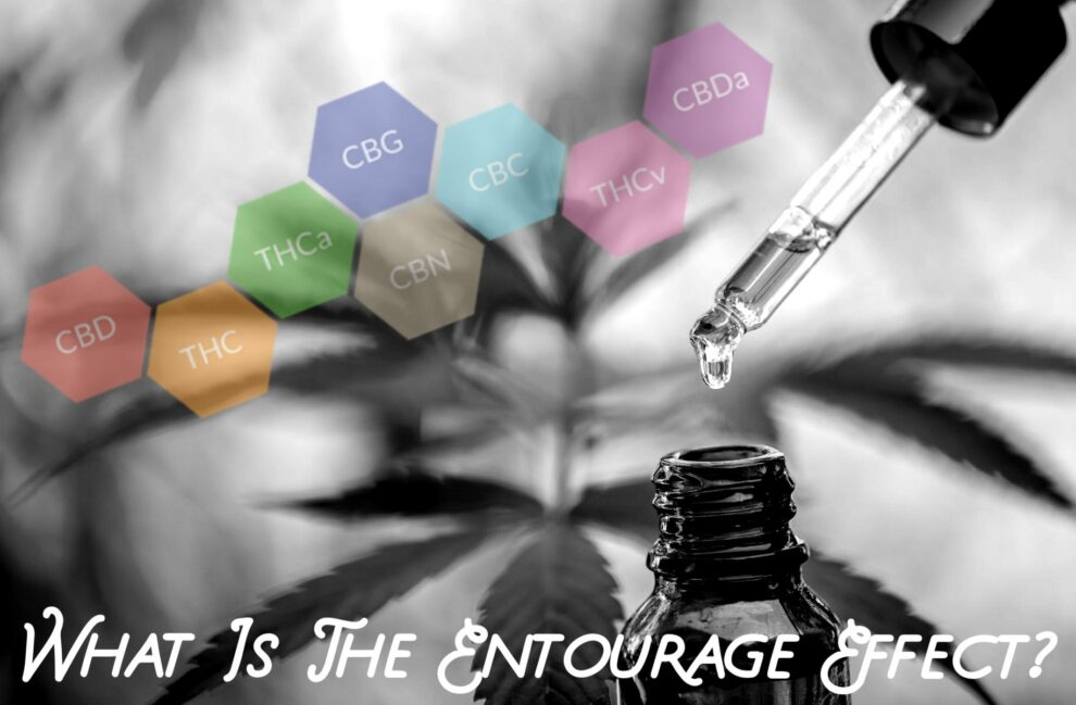 What is the Entourage Effect? | The Mass Apothecary